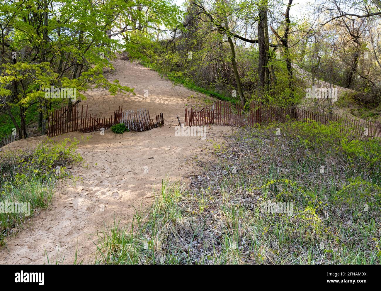 Indiana dunes state park along lake michigan hi-res stock photography ...