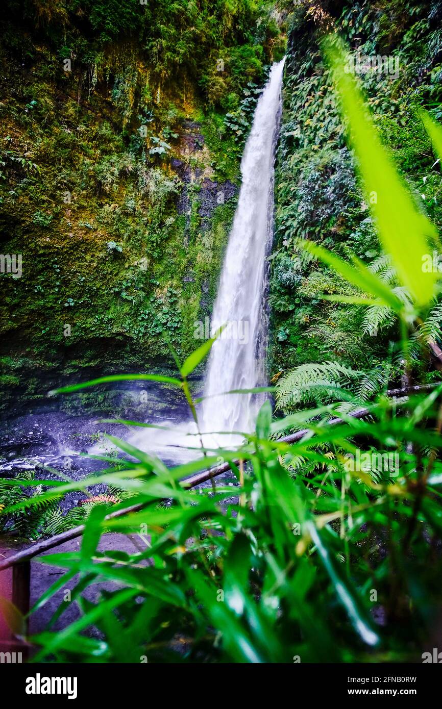 A vertical shot of a narrow waterfall surrounded by greenery in a park ...