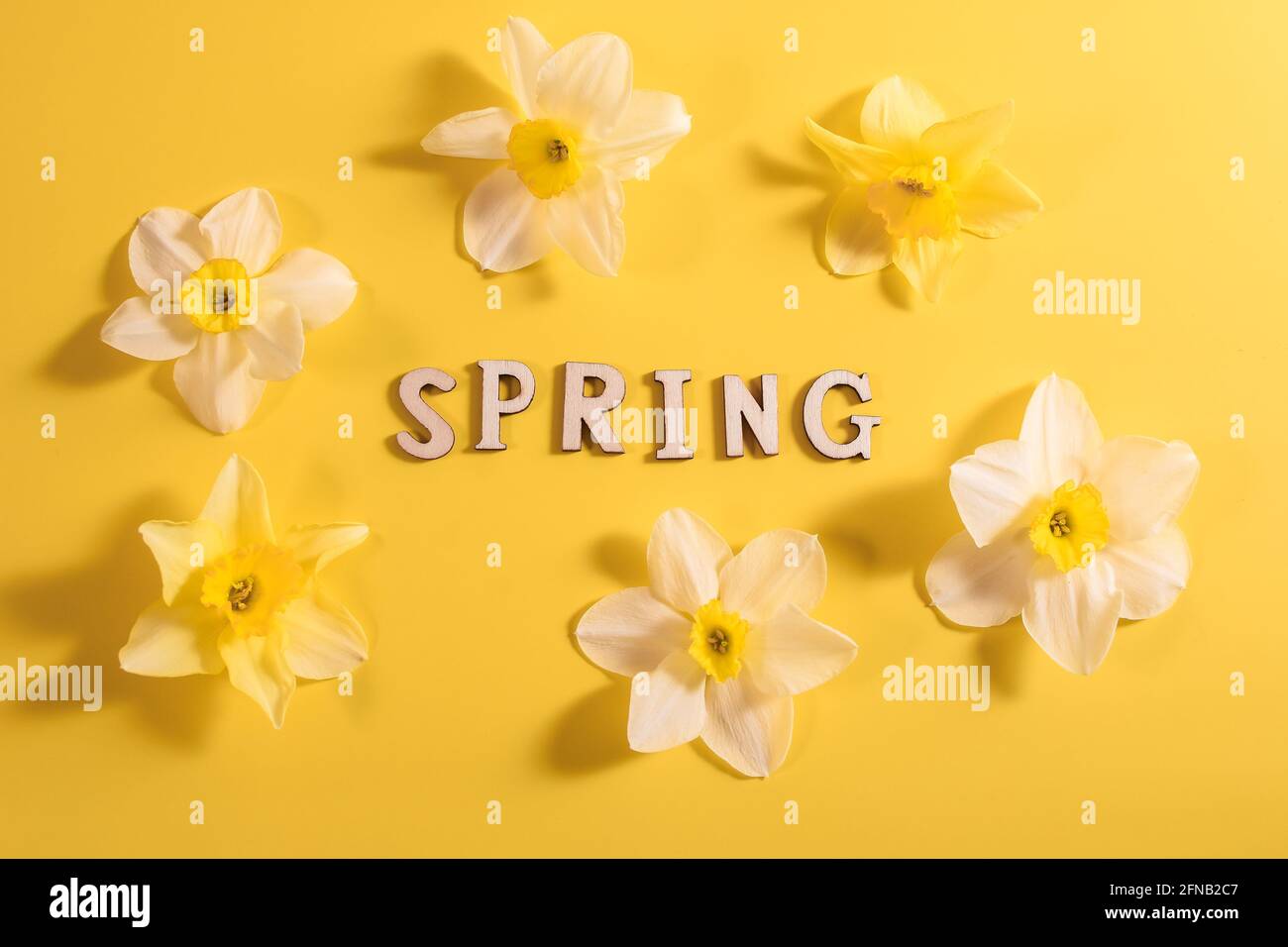 the word spring is written in wooden letters in the colors of daffodils ...