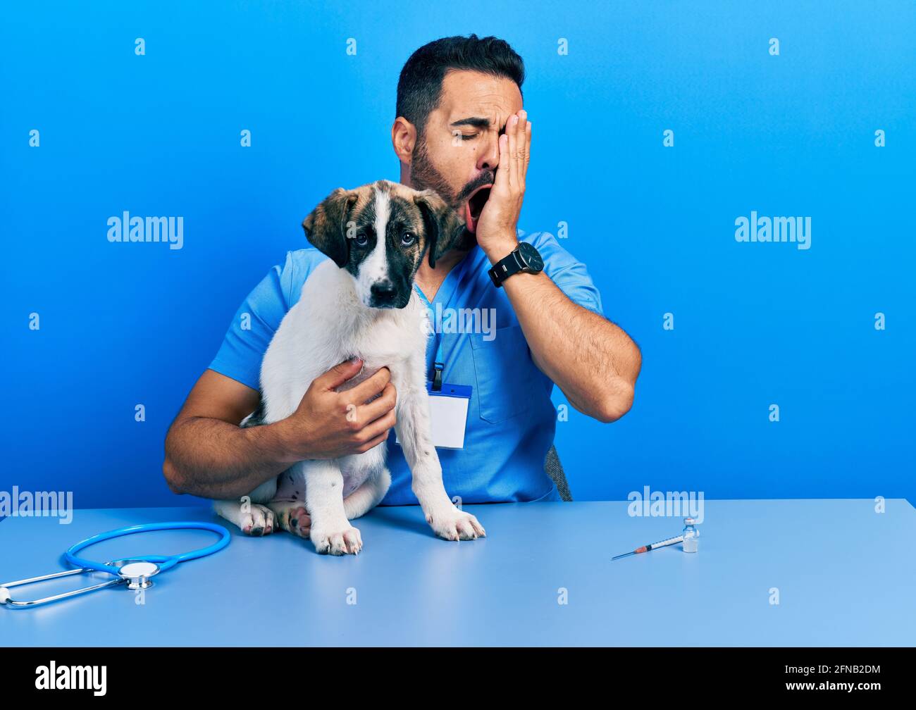 Handsome hispanic veterinary man with beard checking dog health yawning ...
