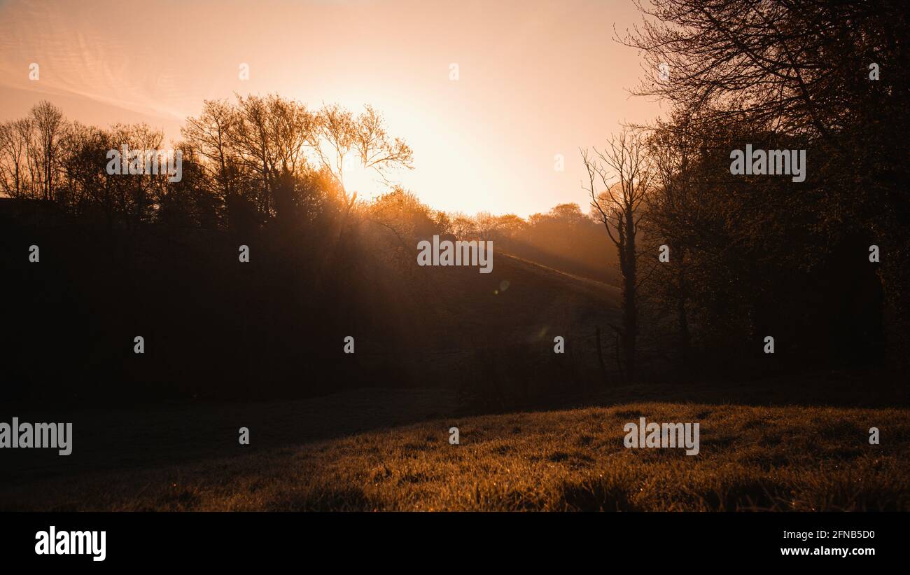 Happy mornings hi-res stock photography and images - Alamy