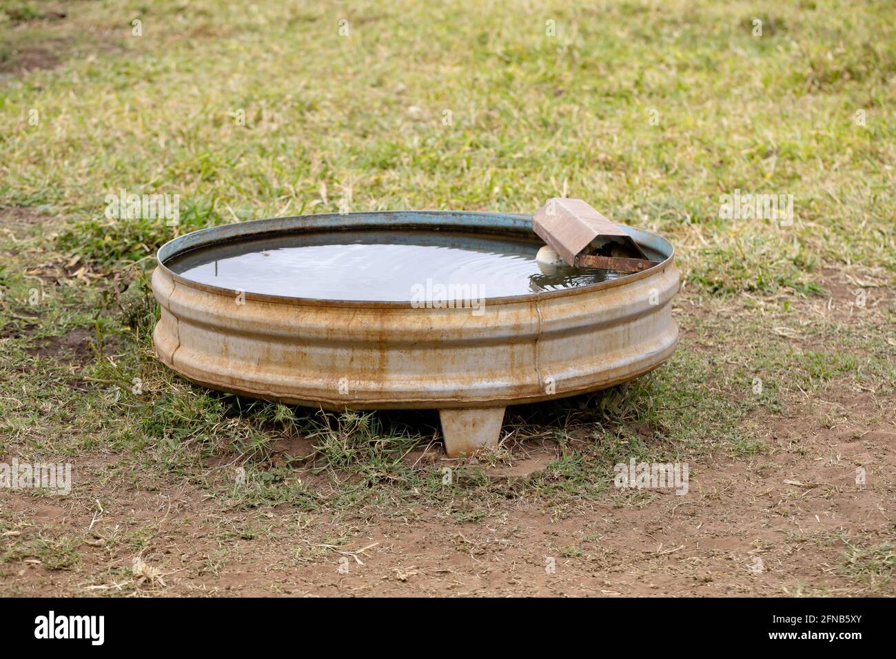 Waterer hi-res stock photography and images - Alamy