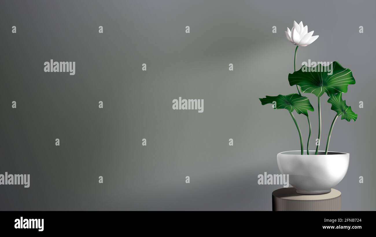 Lotus plant indoor. White lotus flower in vase. Meditation room Stock ...