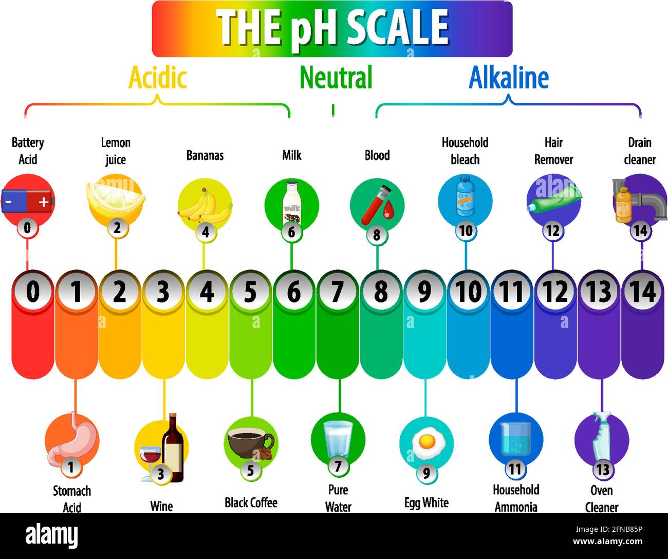 A pH scale on white background illustration Stock Vector Image & Art ...