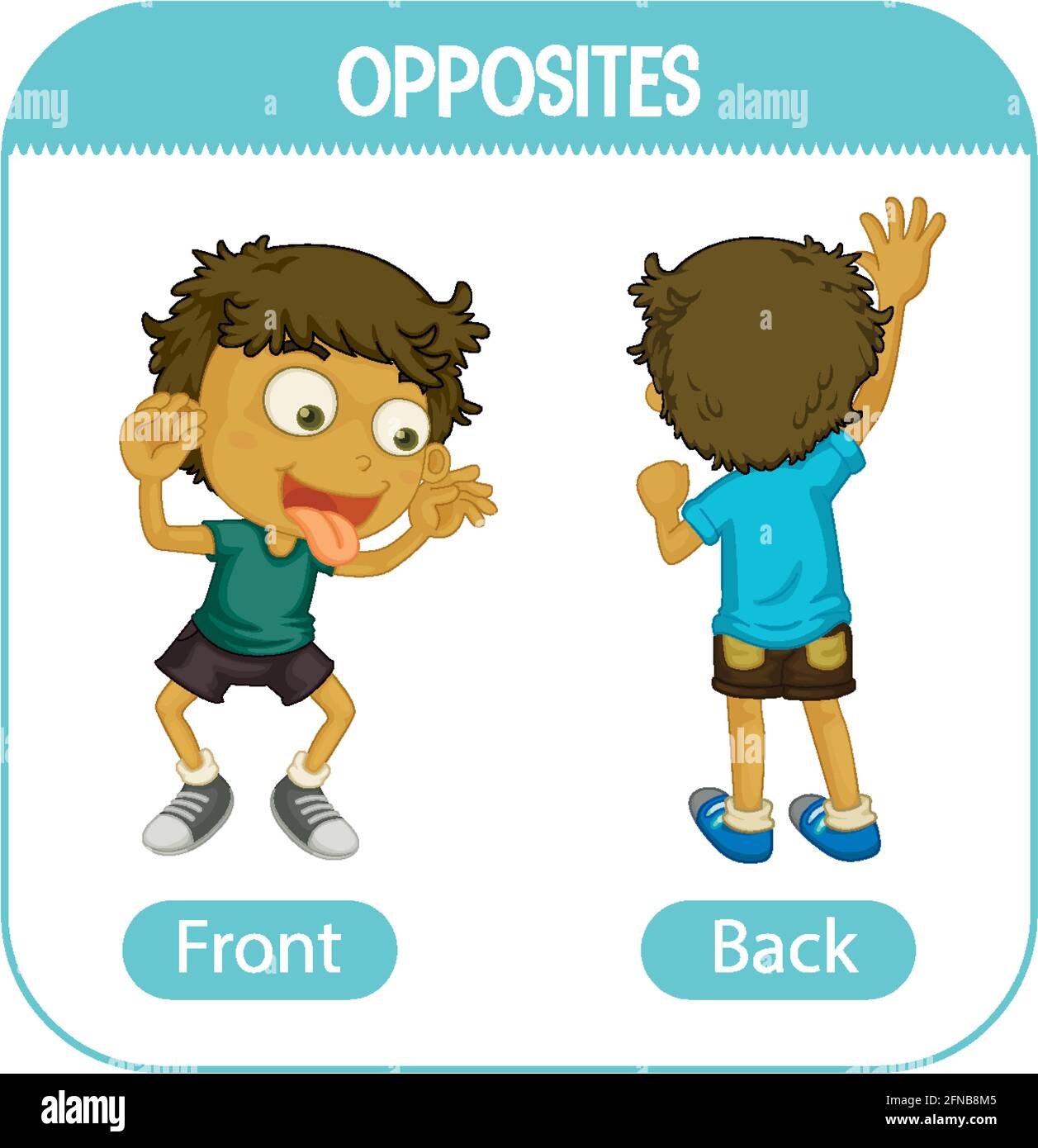 Opposite words with front and back illustration Stock Vector Image ...