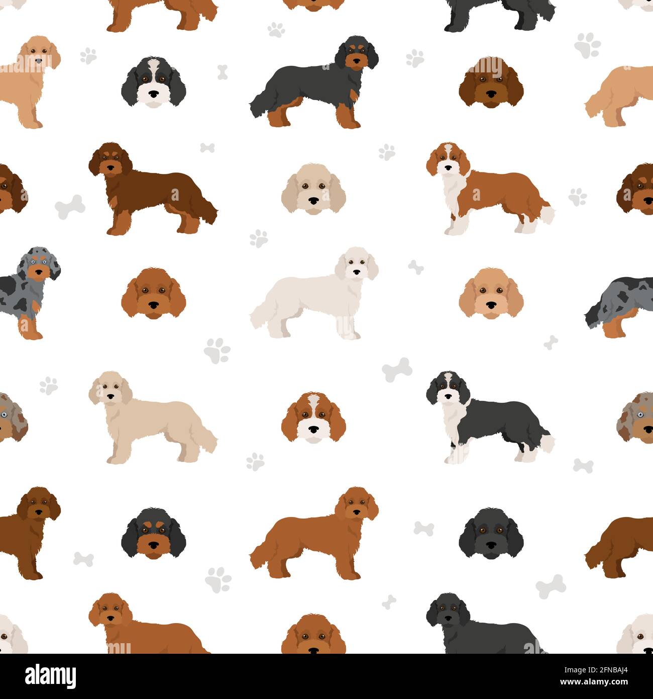 Cockapoo mix breed seamless pattern. Different poses, coat colors set ...