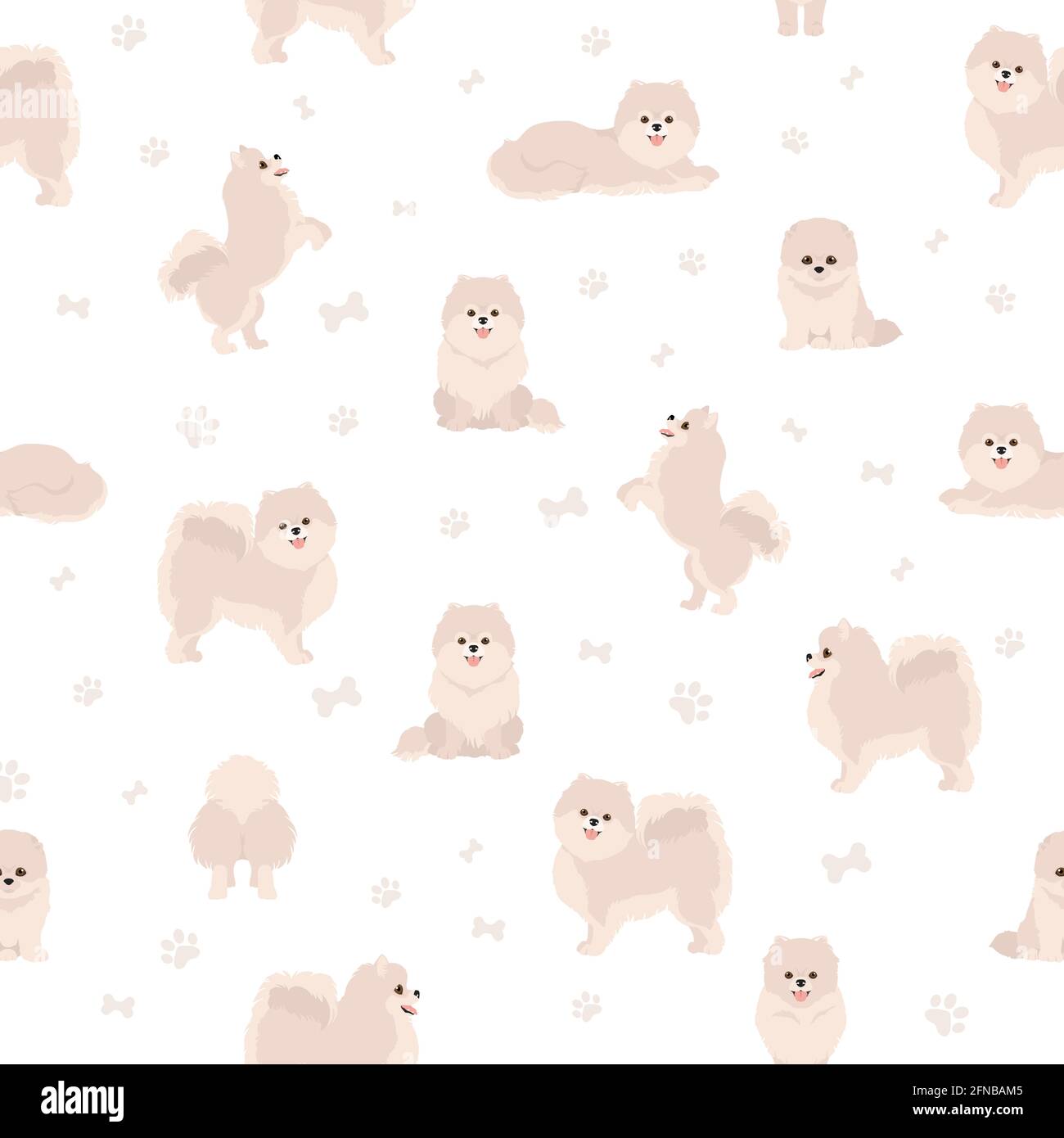 Pomeranian German spitz seamless pattern. Different poses, coat colors set. Vector illustration ...