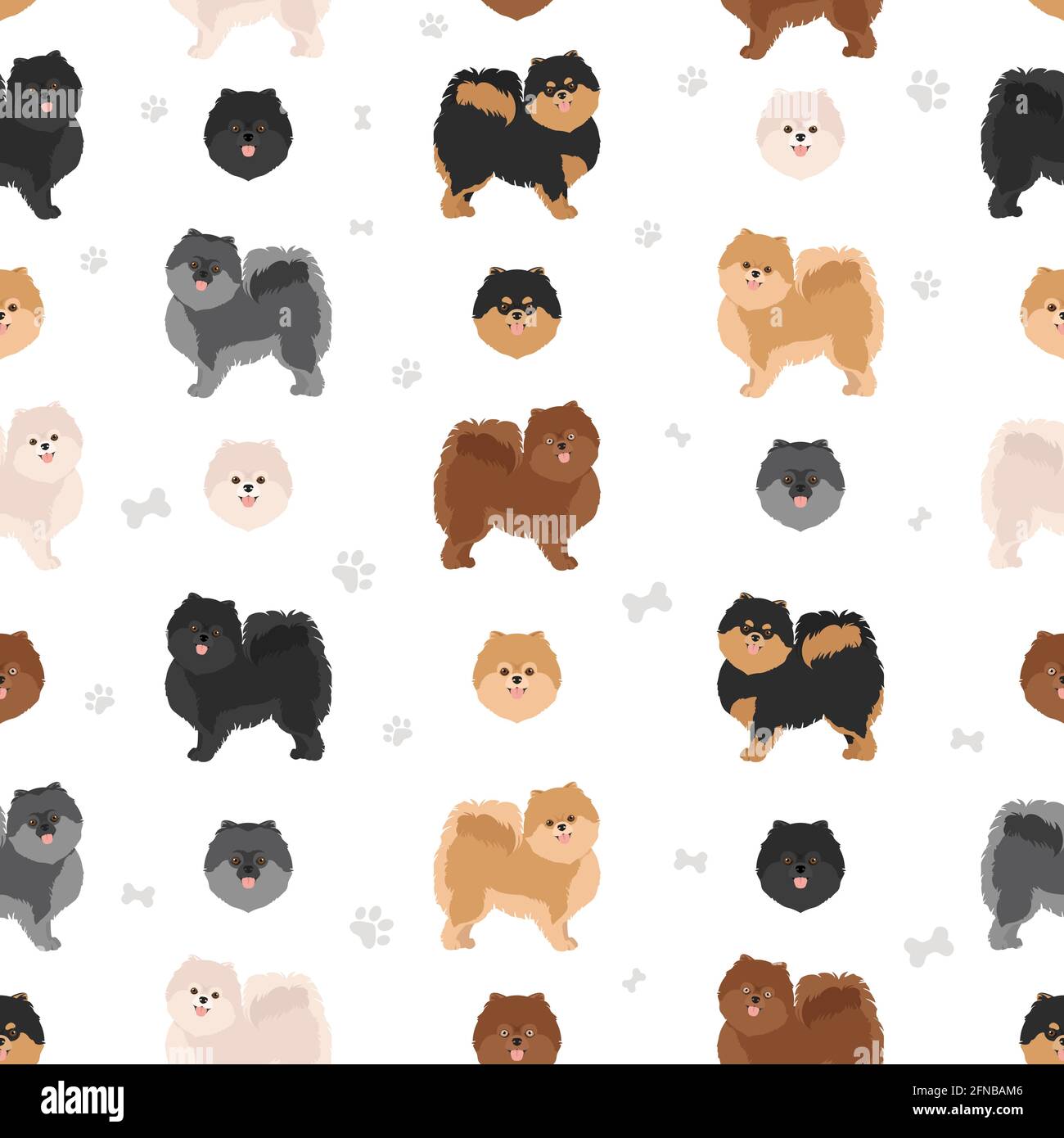 Pomeranian German spitz seamless pattern. Different poses, coat colors set. Vector illustration ...
