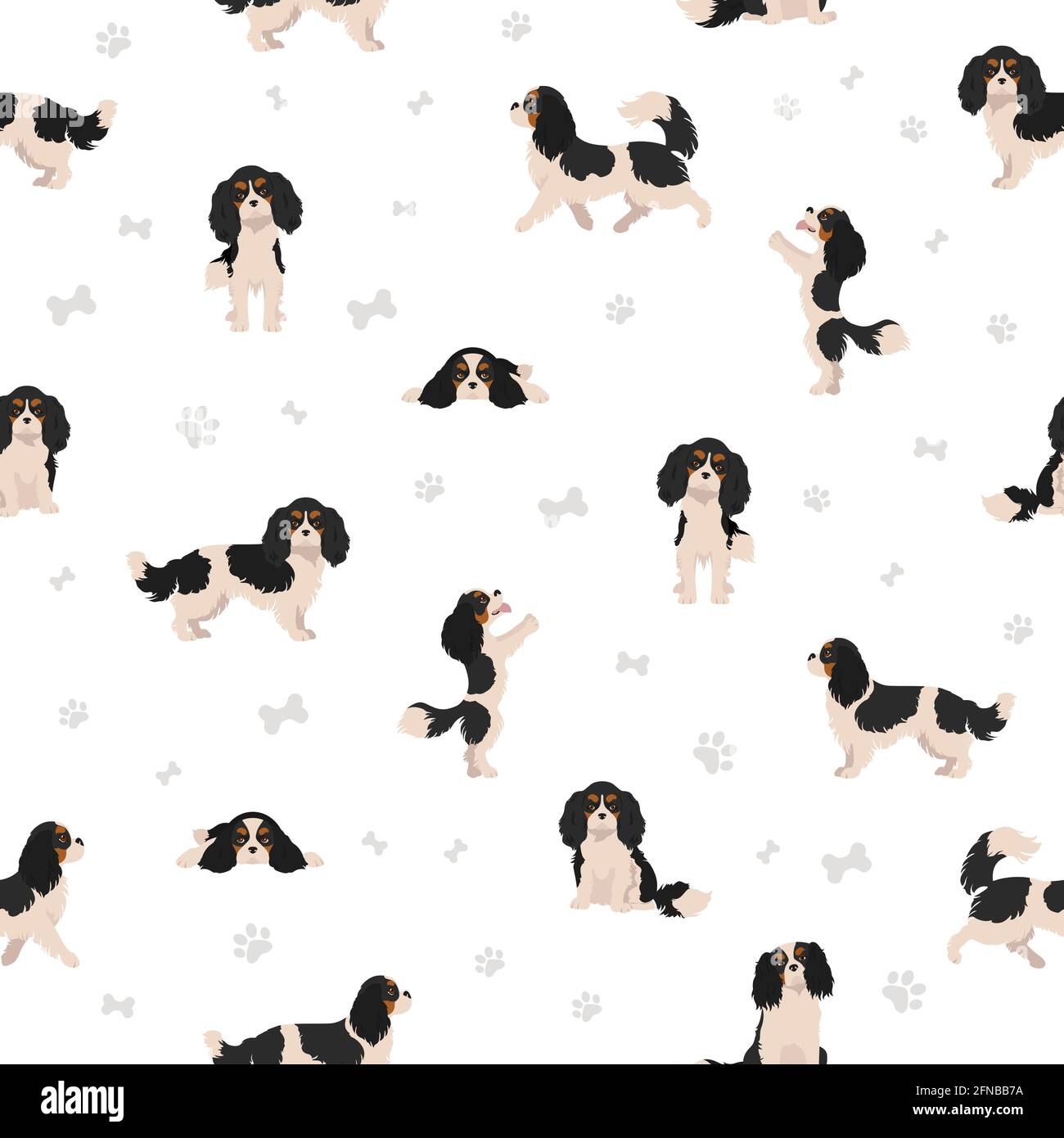 Cavalier king charles spaniel coat colors hi-res stock photography and ...