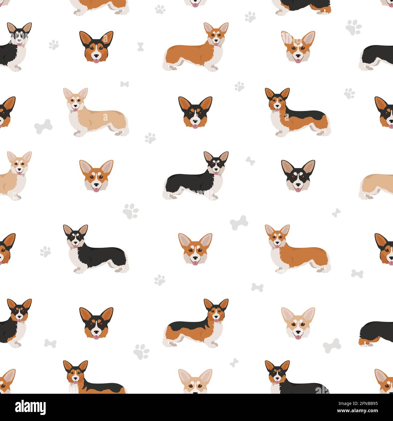 Corgi Pattern
