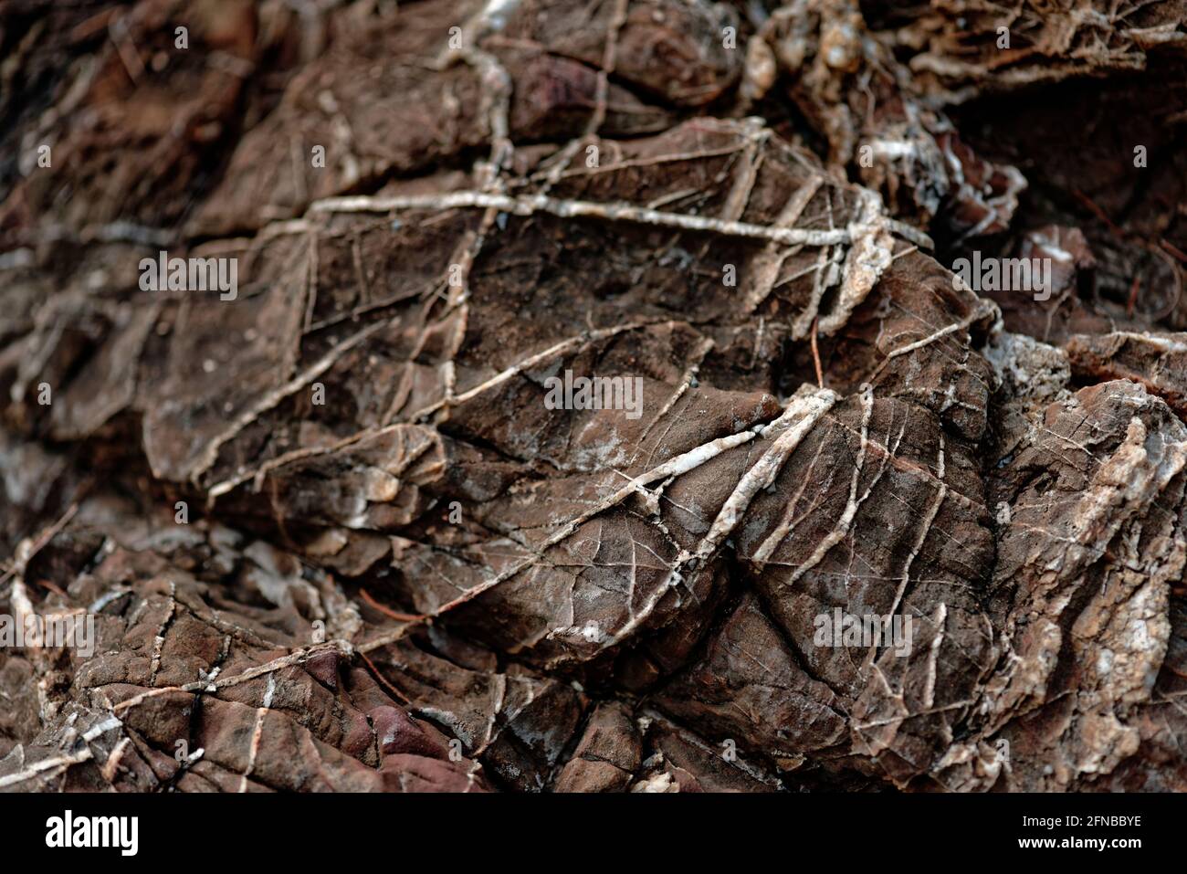 Hard rock texture, Detail of beach stone background Stock Photo - Alamy