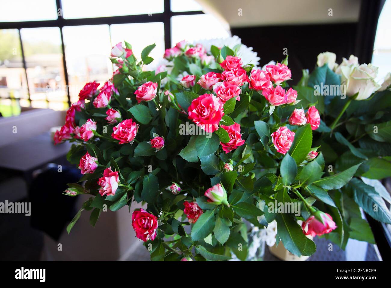 Small pink shrub roses in the vase opposite the window Stock Photo - Alamy