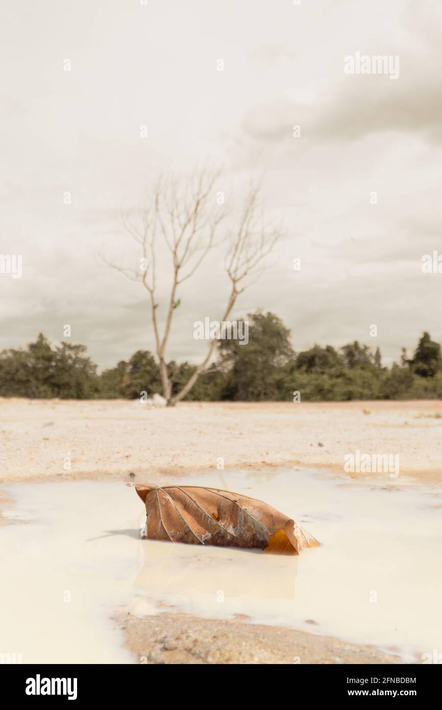 River dry and drought conditions in asia Stock Photo - Alamy