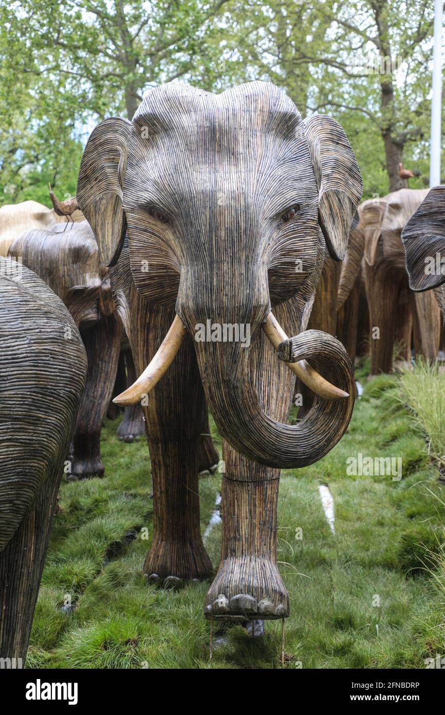 Life size elephant hi-res stock photography and images - Alamy