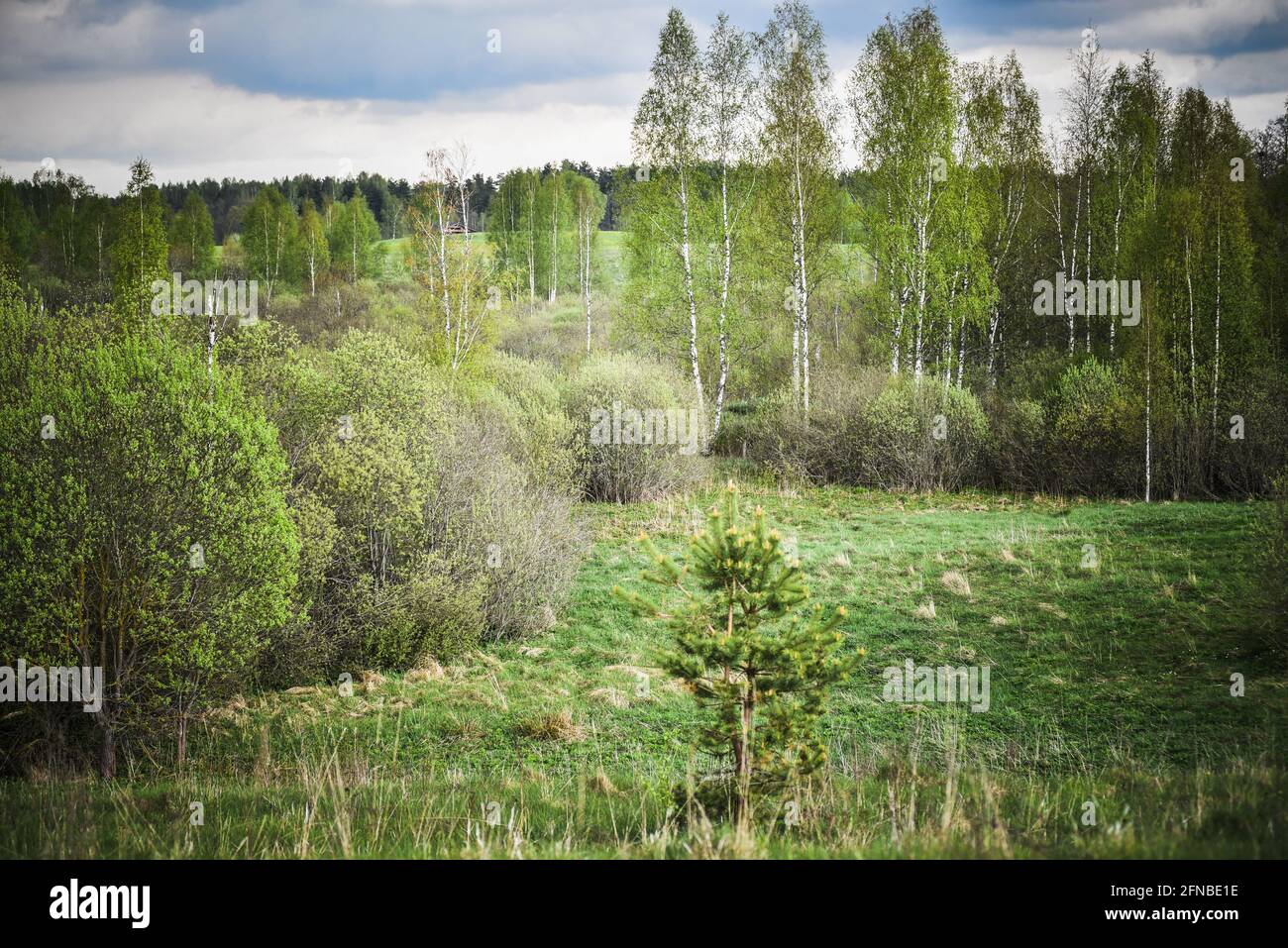Weather in latvia hi-res stock photography and images - Alamy