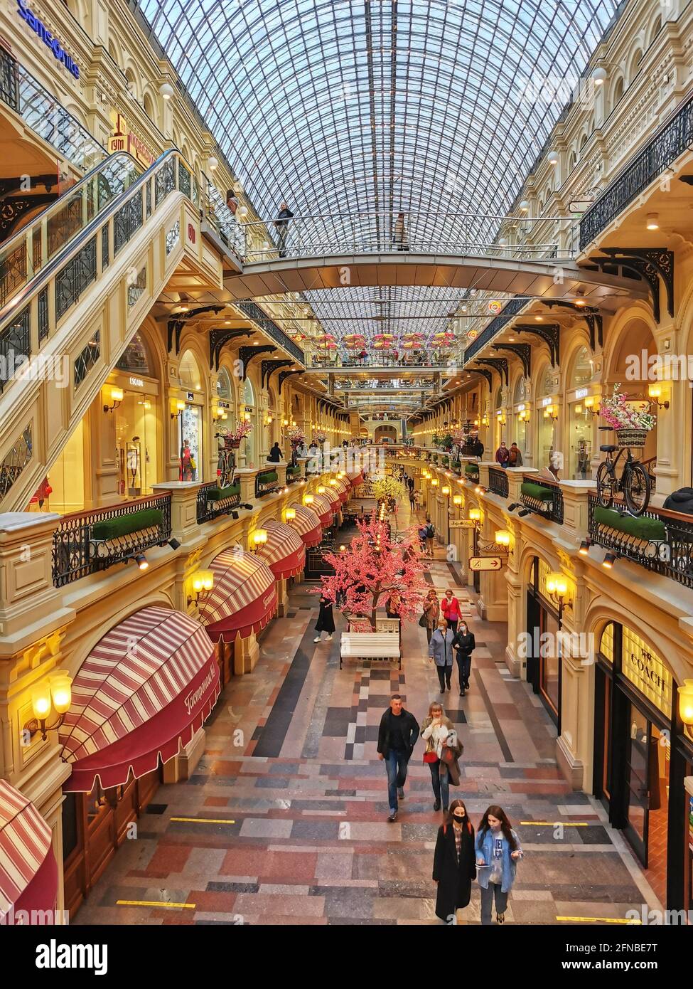 Department Store Interior Perspective