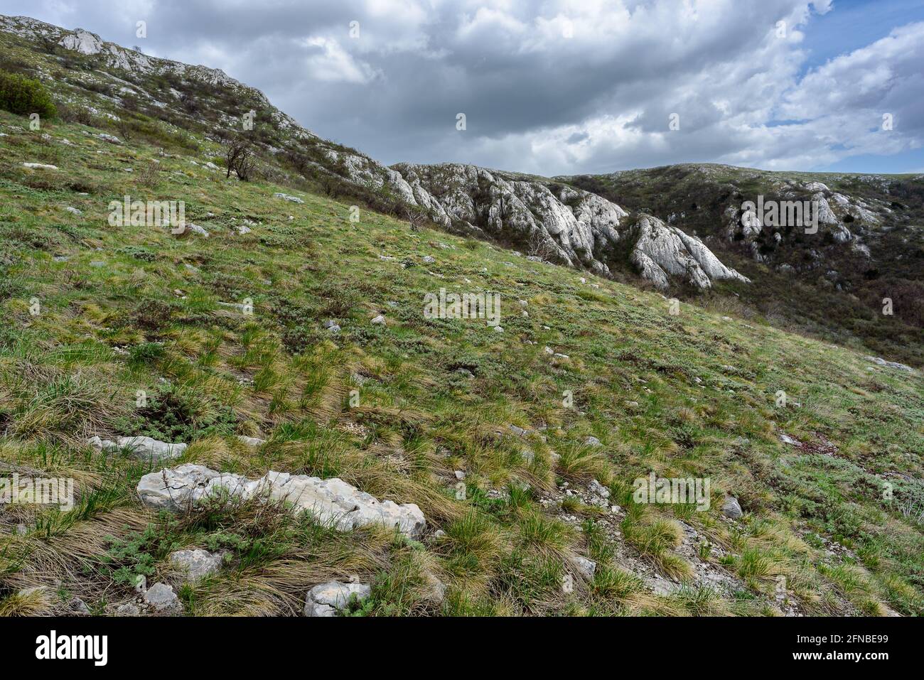 Landscape of Stol mountain in eastern Serbia, near the city of Bor ...
