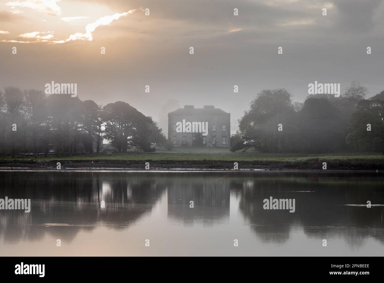 Coolmore estate hi-res stock photography and images - Alamy