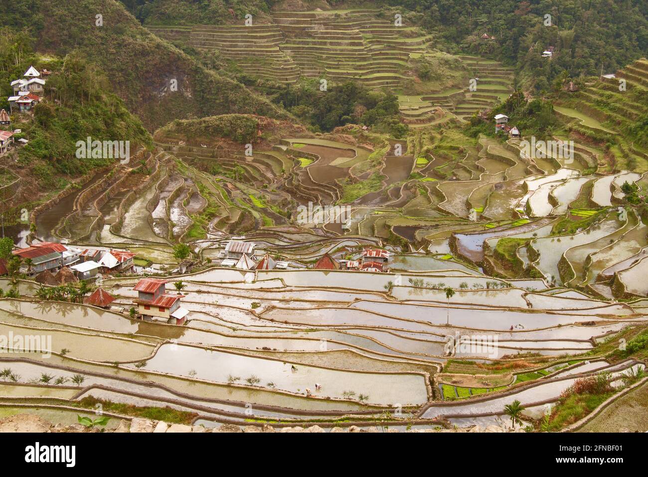 Batad Rice Terraces, Philippines Stock Photo - Alamy