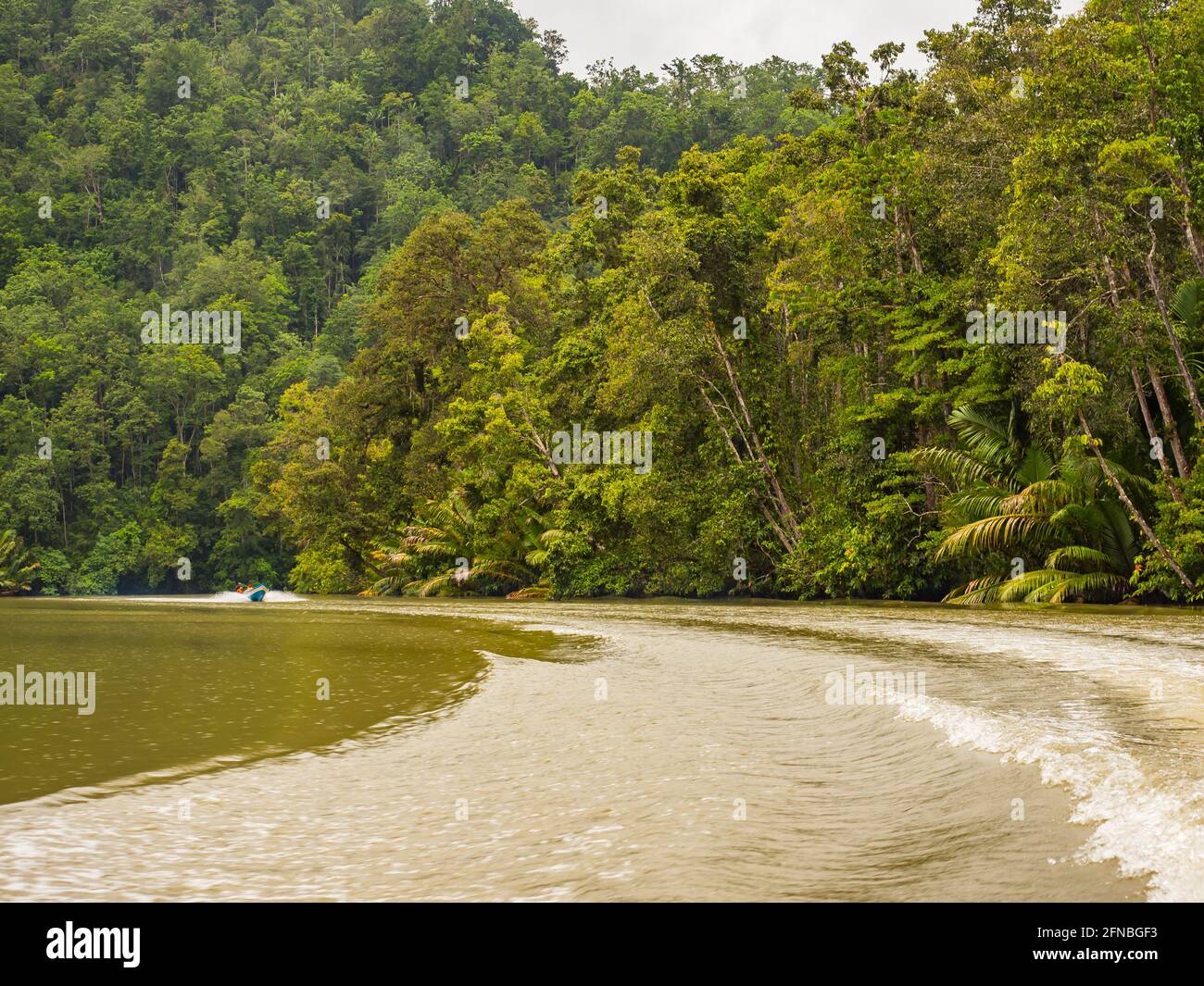 Tropical forest around Arguni Bay, Bird's Head Peninsula, West Papua ...