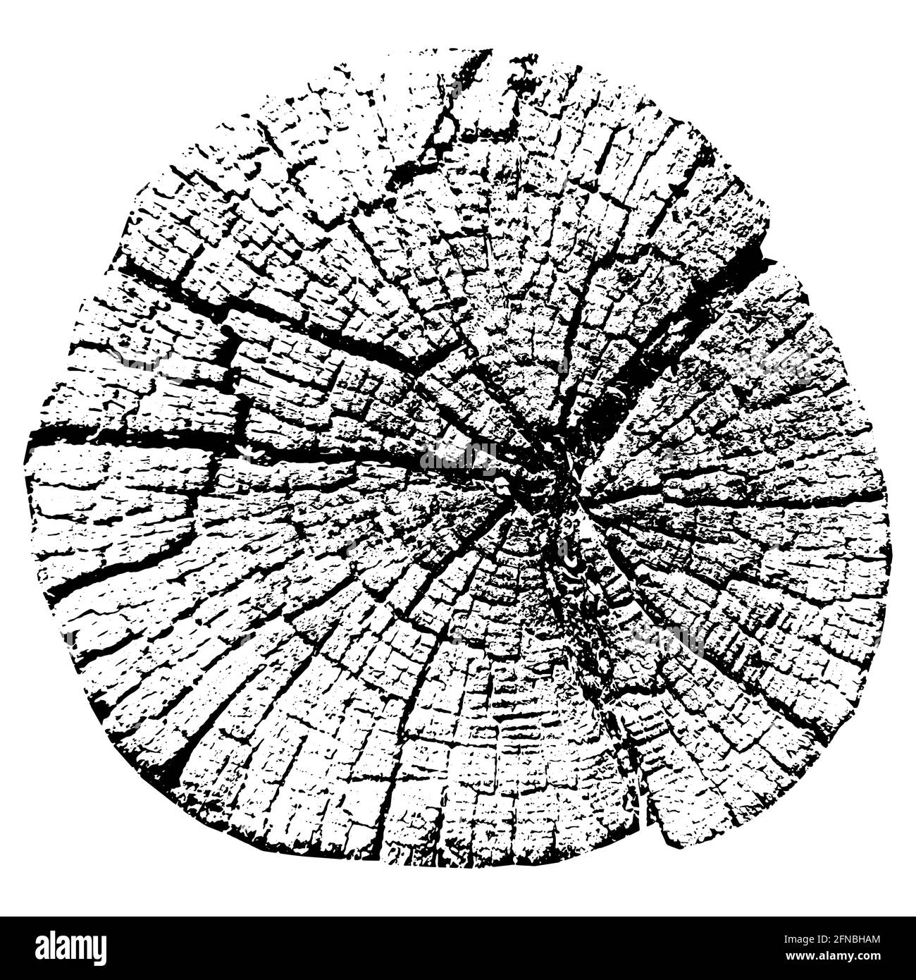 Tree stump log vector Black and White Stock Photos & Images - Alamy