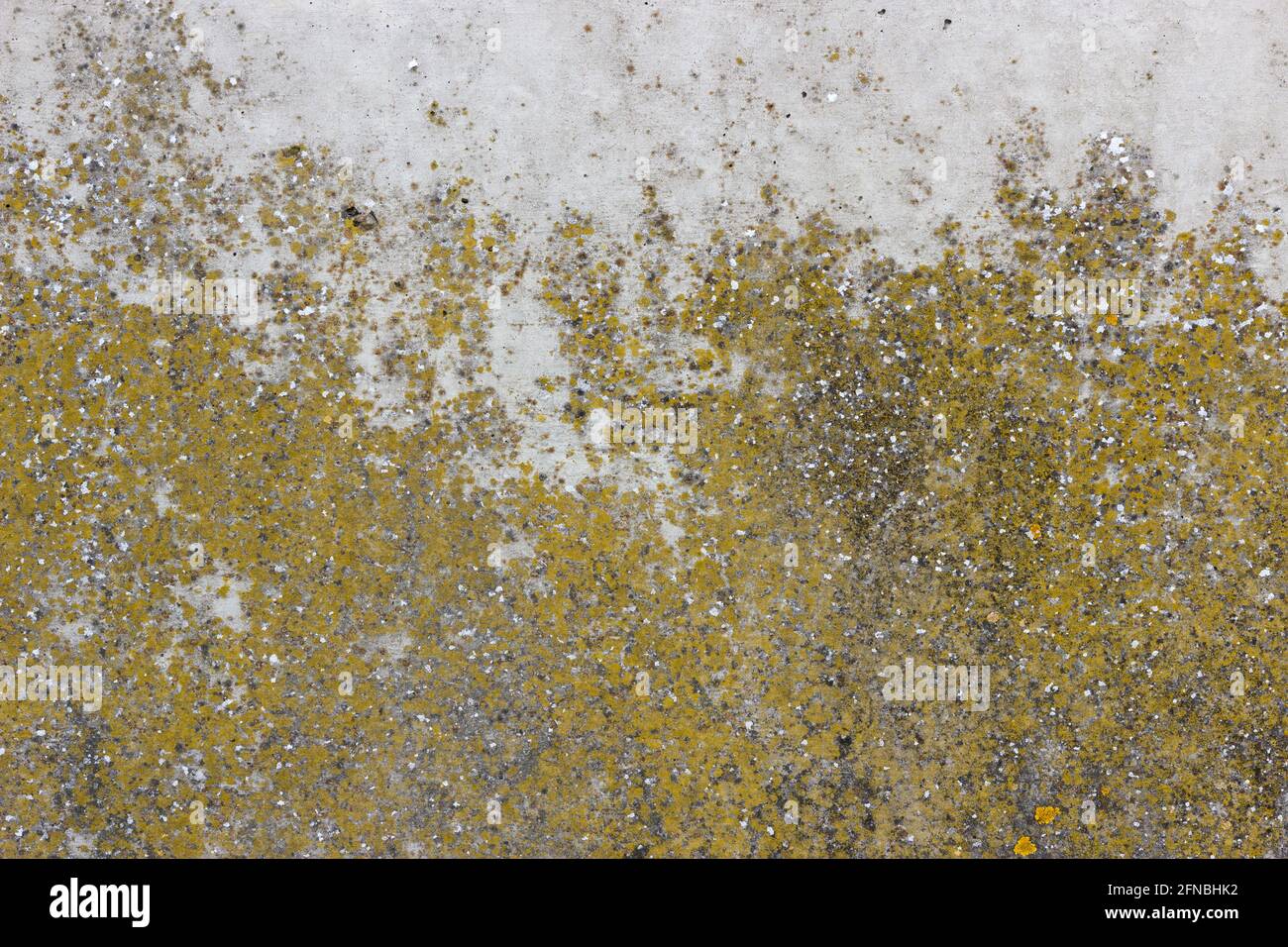 Weathering of concrete hi-res stock photography and images - Alamy
