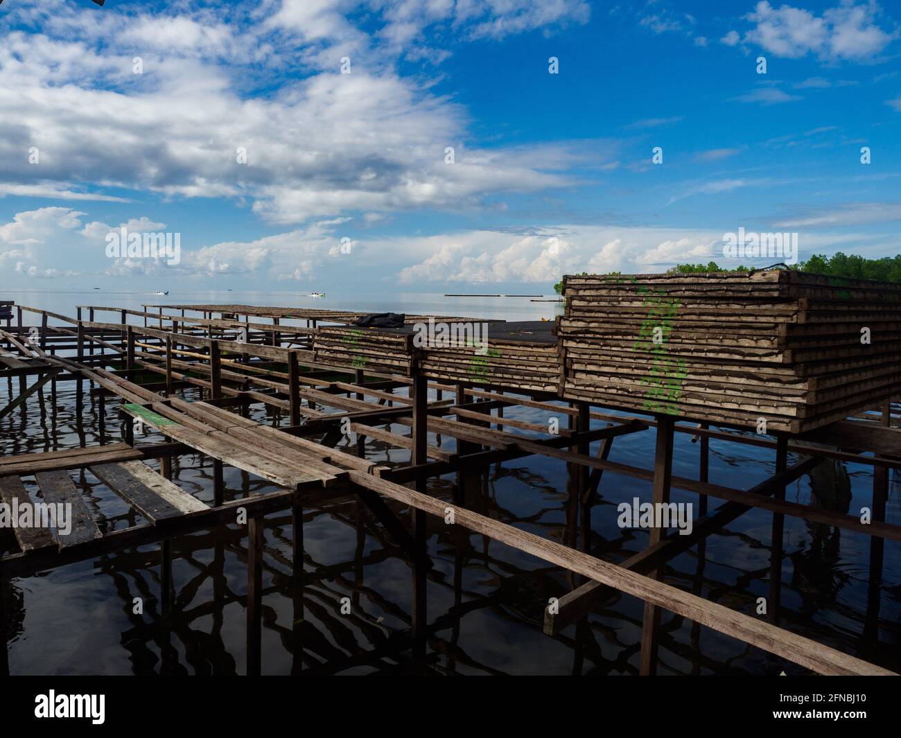 Special structures and nets prepared for drying fish in Kaimana in the ...