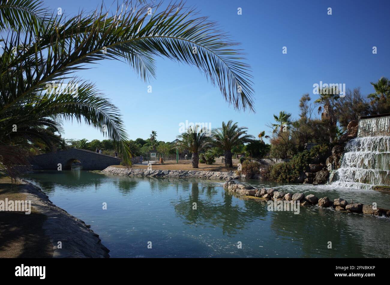 Palm trees path hi-res stock photography and images - Alamy