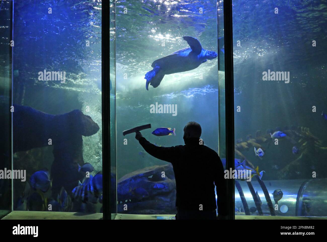 Sea life hunstanton hi-res stock photography and images - Alamy