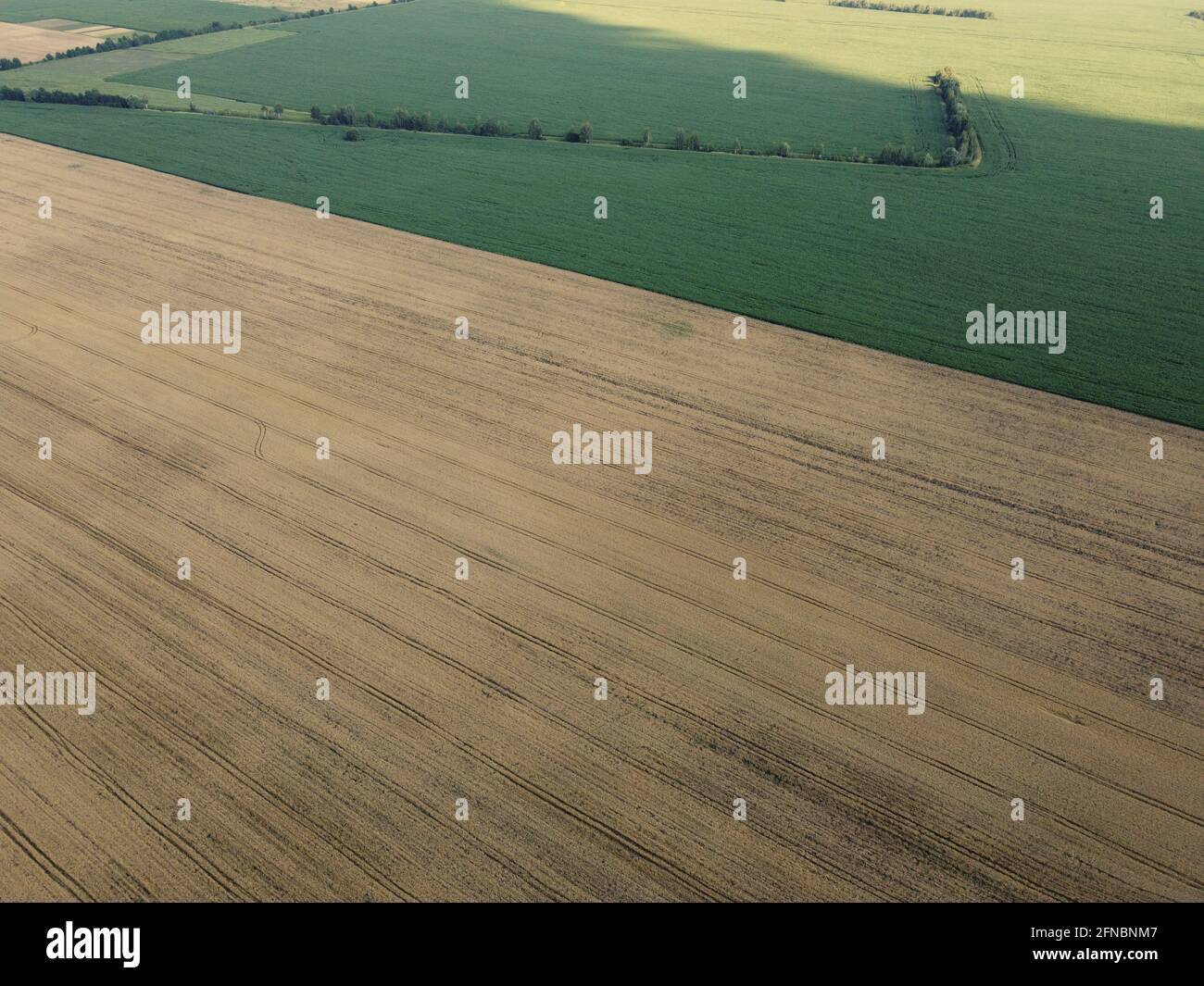 Agricultural fields, top view. Farmed fields, bird's-eye view of the ...