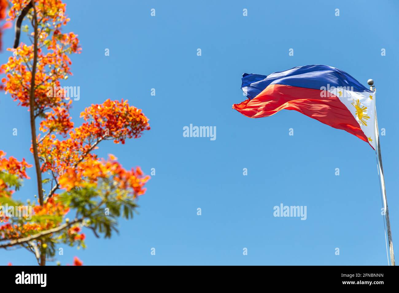 Philippines National flag with flower at Aguinaldo Shrine and Museum ...