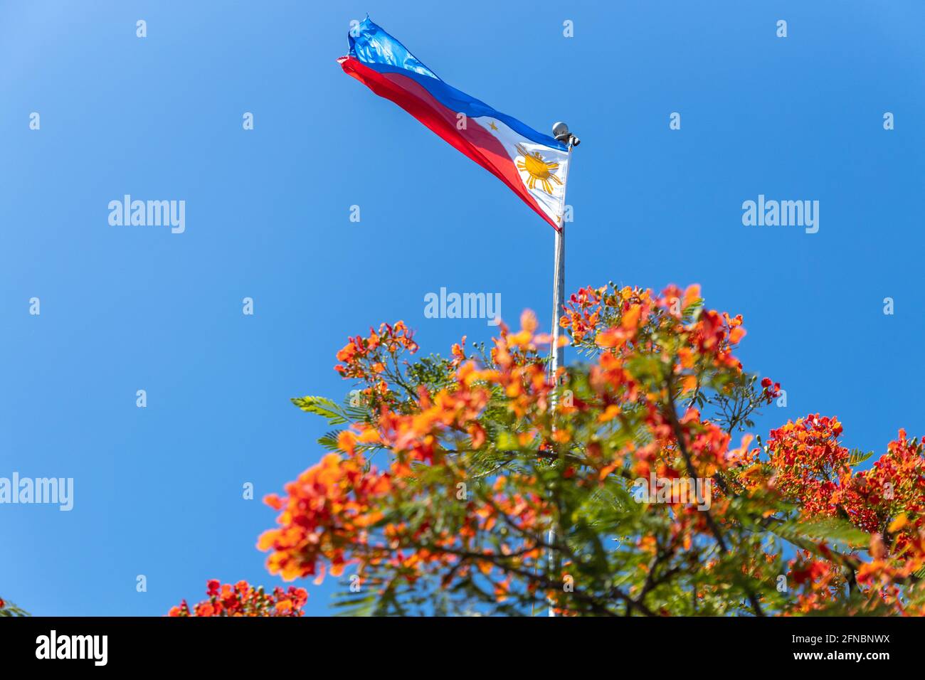 Philippines National flag with flower at Aguinaldo Shrine and Museum ...