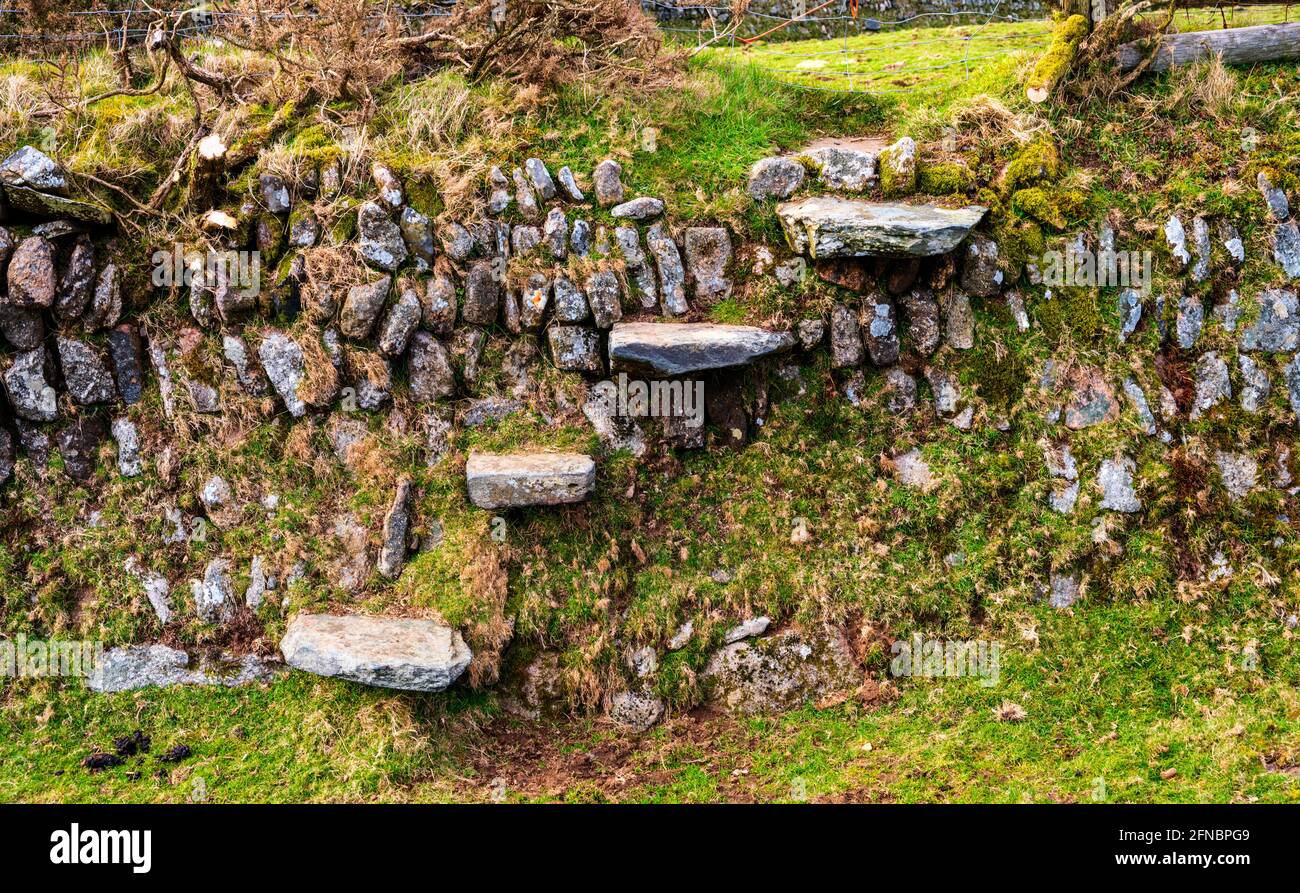 Traditional step stile over a Devon bank wall on High Down, near ...