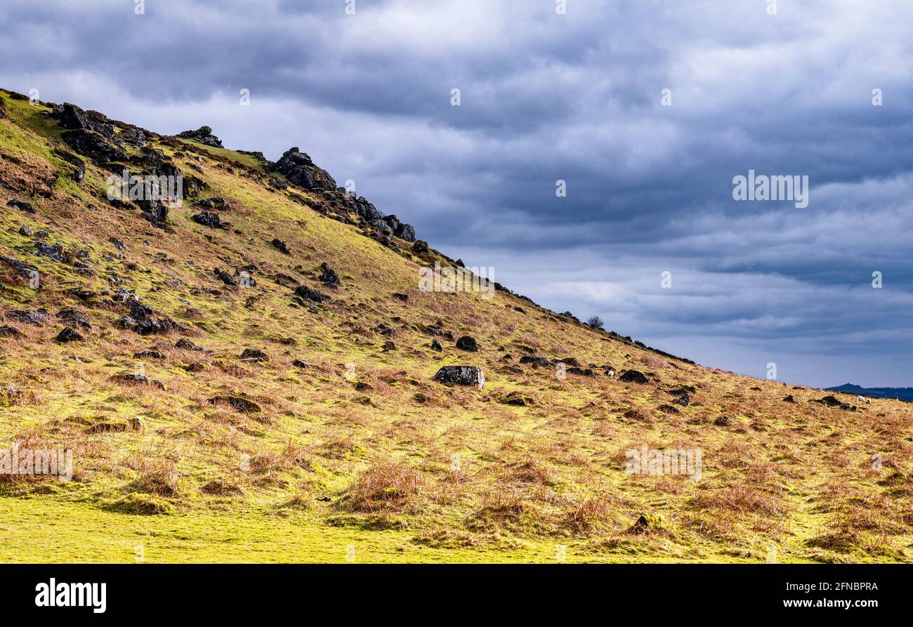 Rocky outcrops of Sourton Tors in the northwest of Dartmoor National ...