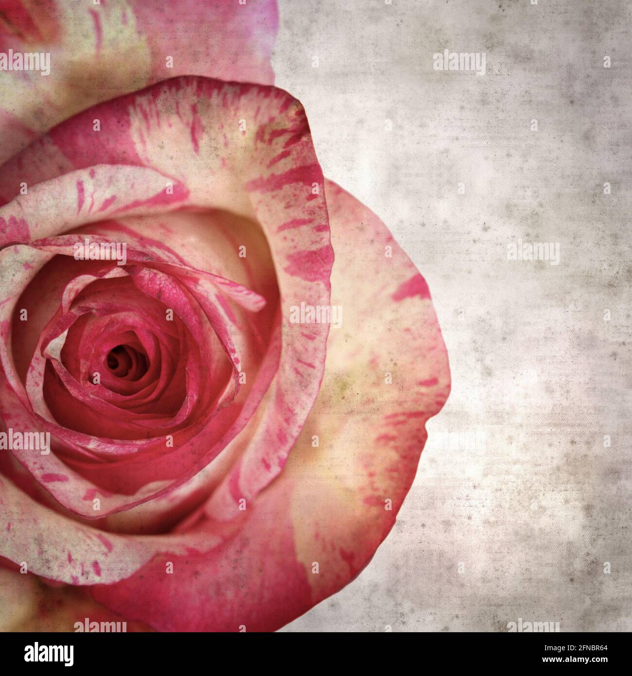 stylish textured old paper square background with mottled pink and ...