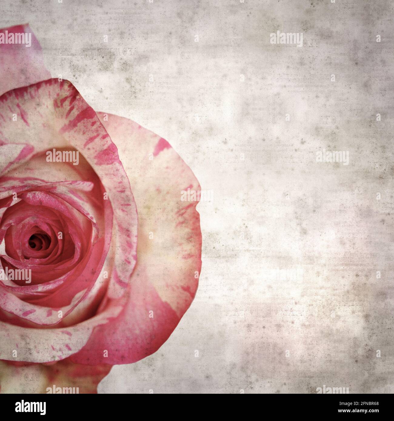 stylish textured old paper square background with mottled pink and ...