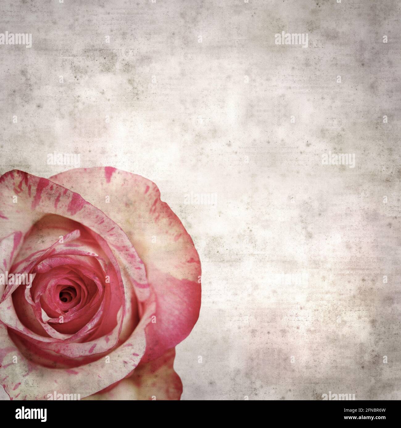 stylish textured old paper square background with mottled pink and ...