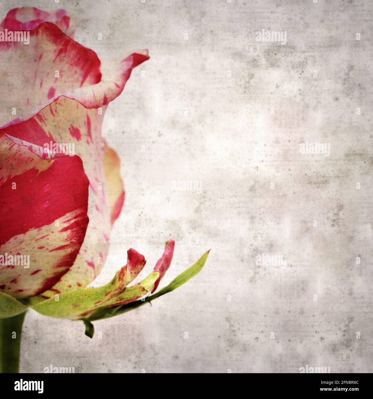 stylish textured old paper square background with mottled pink and ...