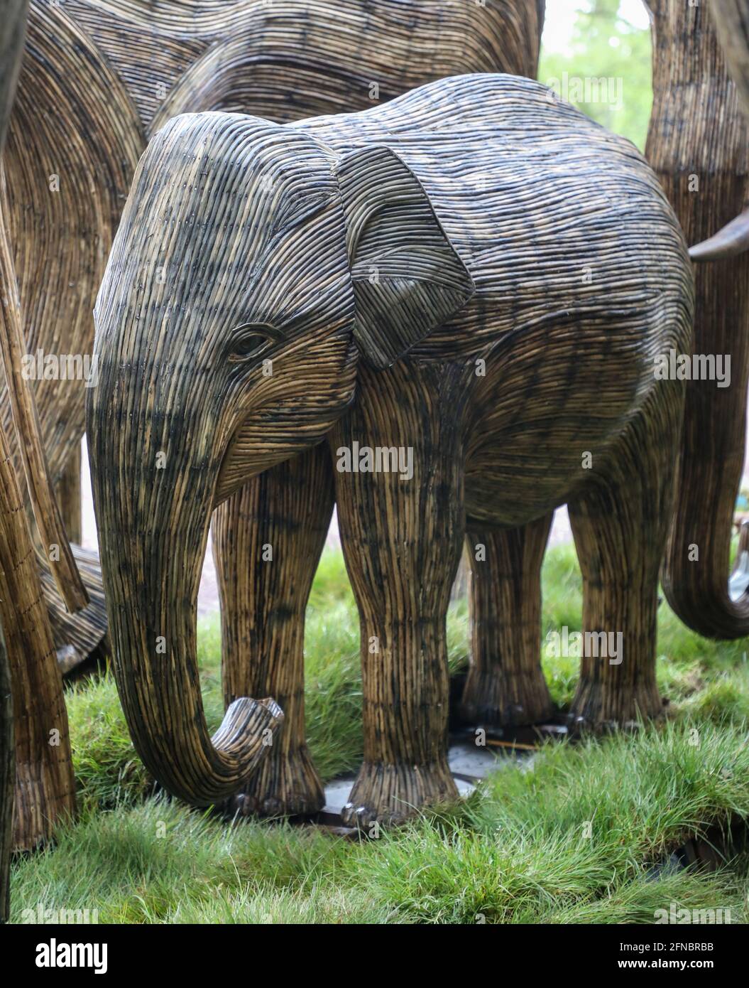 Life size elephant hi-res stock photography and images - Alamy