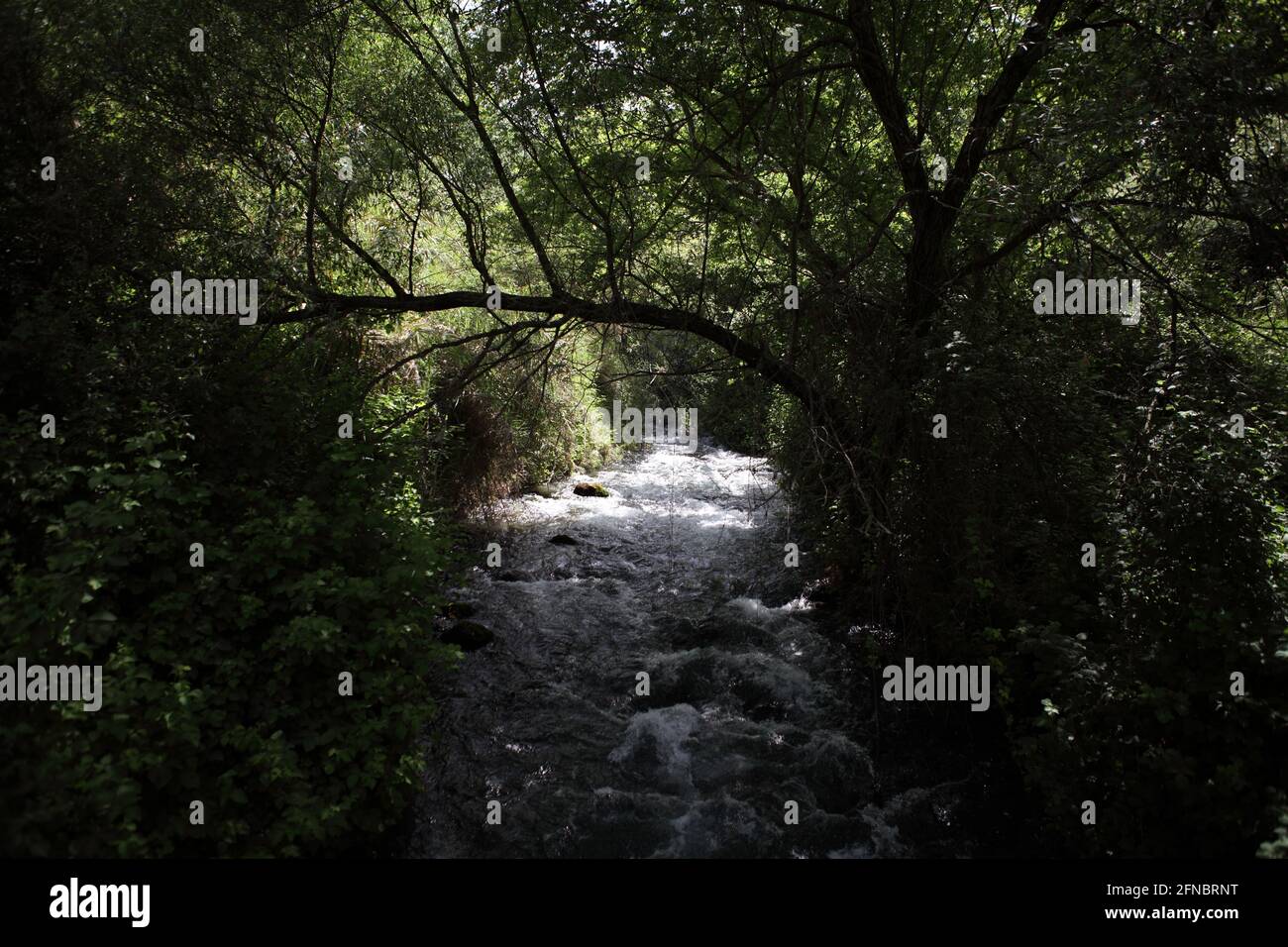 Banias river national park hi-res stock photography and images - Alamy