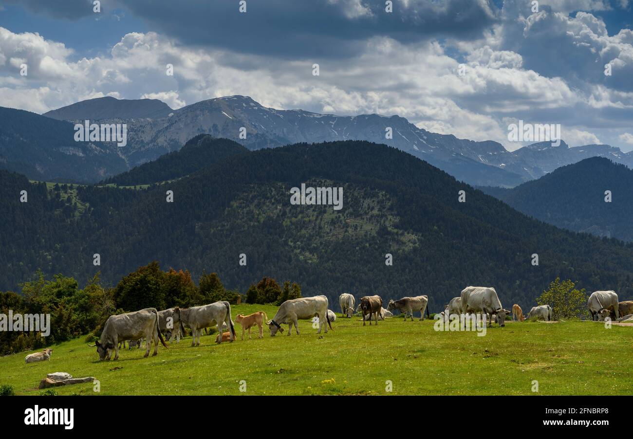 Mirador de cap ras hi-res stock photography and images - Alamy