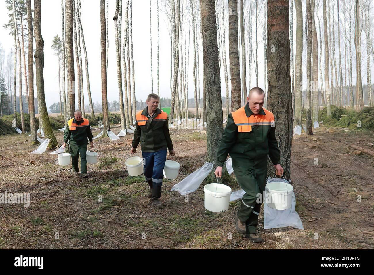 Birch industrial park hi-res stock photography and images - Alamy