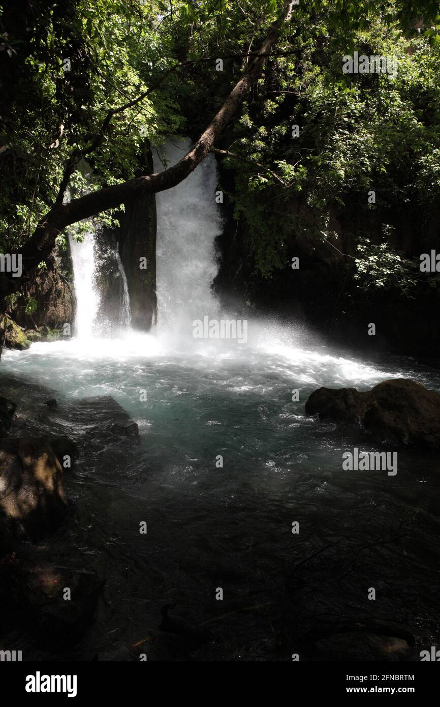 Waterfall and the splashing stream of the Banias River, one of the ...