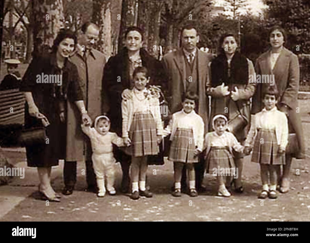 Familia leon hi-res stock photography and images - Alamy