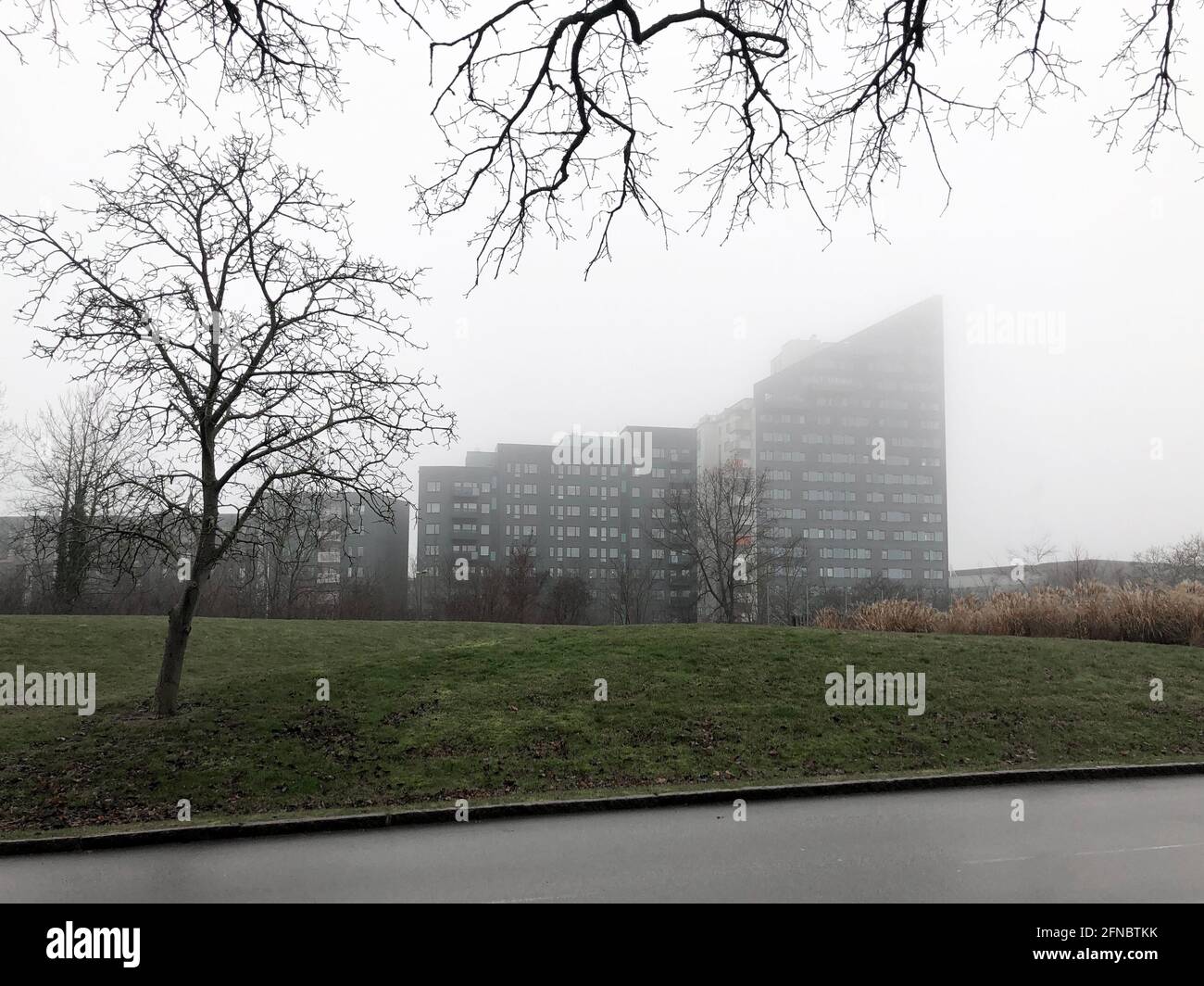 Buildings in city foggy weather architecture hi-res stock photography ...