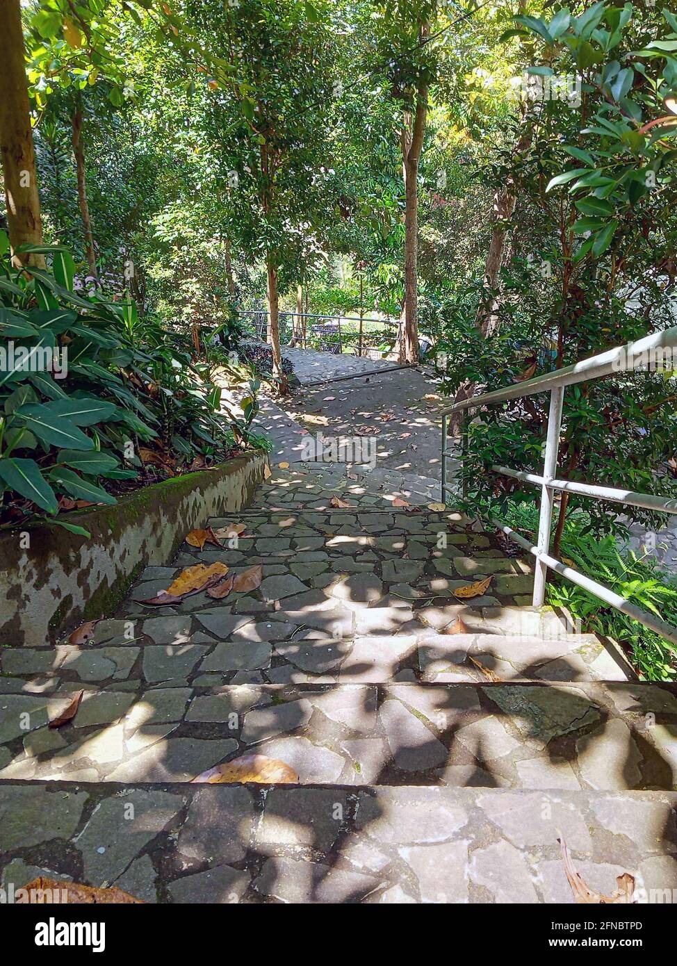 a stone path downhill amidst a leafy green garden photo Stock Photo - Alamy
