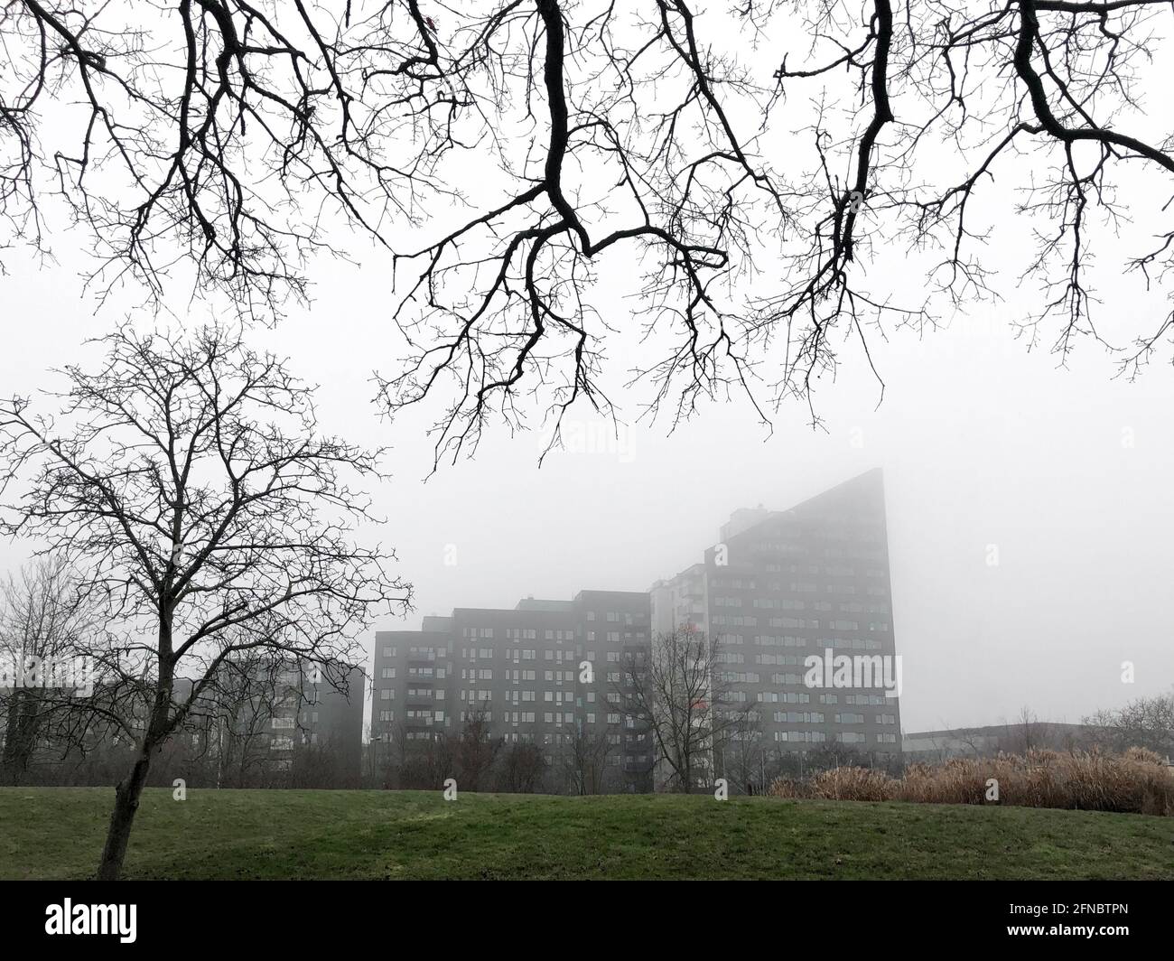 Photo of tall buildings in foggy autumn weather Stock Photo - Alamy