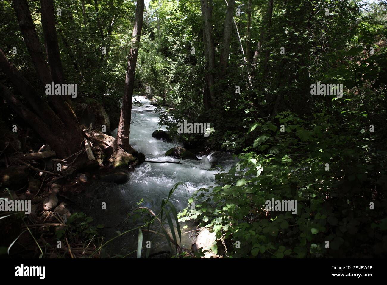 Banias river national park hi-res stock photography and images - Alamy