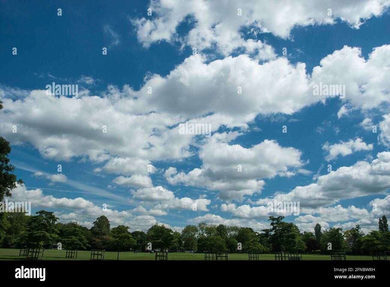 Weather: Gathering cumulus clouds bring the promise of Summer rain ...