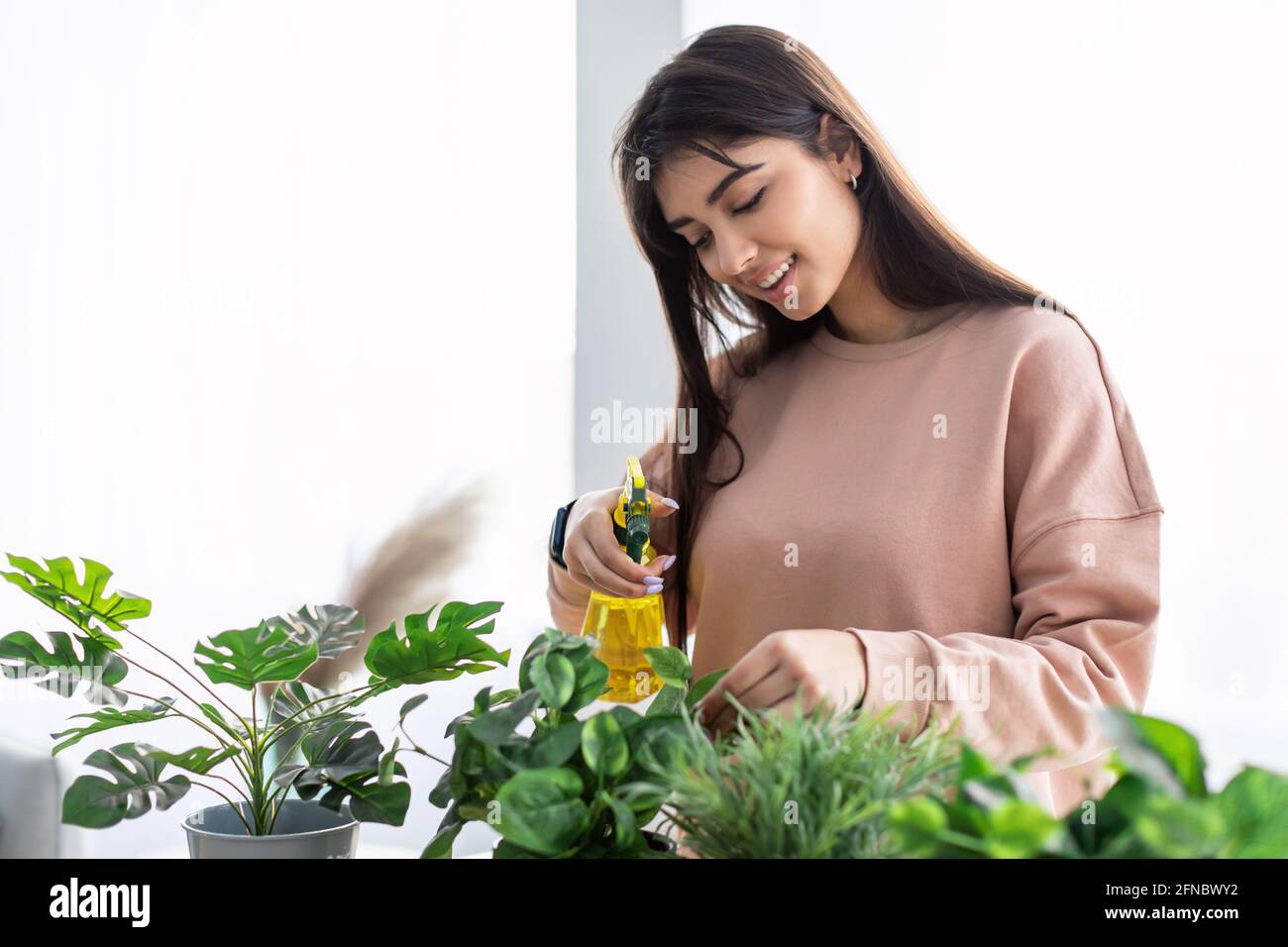 Female spraying home plant with pure water from spray bottle Stock ...